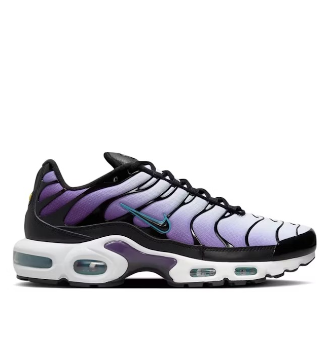 Nike Air Max Plus Tn Reverse Grape – Kickzfresh